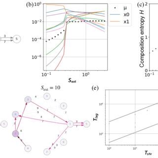 Fig S Example Of Randomly Generated Networks With Nutrient Transport