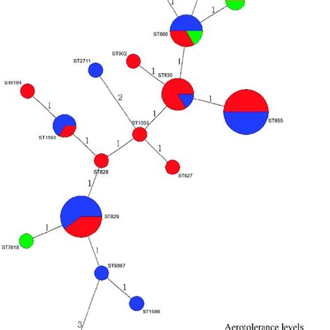 Minimum Spanning Tree Mst Based Cluster Analysis Of C Coli Isolates