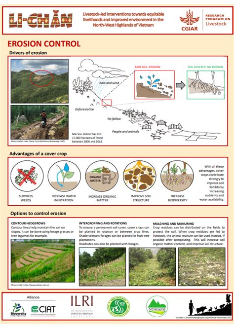 Soil Erosion Prevention Poster