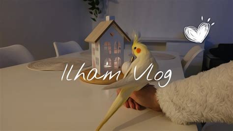 روتين يوم شتوي🌧 هادئ في منزلي ♡asmr🐦‍⬛ Youtube