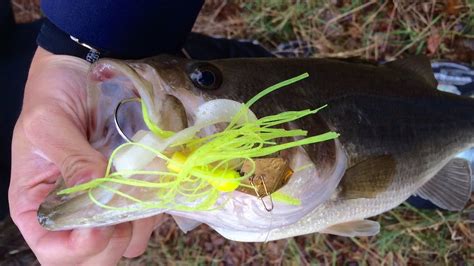 Chatterbaits Catch Big Pond Bass In Cold Muddy Water Fishing On