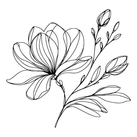 Images De Fleur Dessin Png Téléchargement Gratuit Sur Freepik