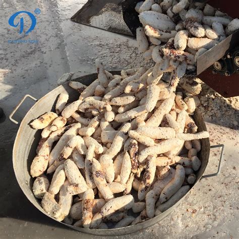 Multistage Cassava Washing Machine Cassava Flour Processing Plant Buy
