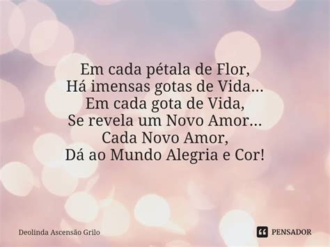Em Cada Pétala De Flor Há Imensas Deolinda Ascensão Grilo Pensador