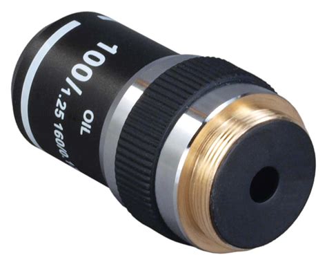 Amscope 100x Achromatic Compound Microscope Objective Lens Amscope Eu