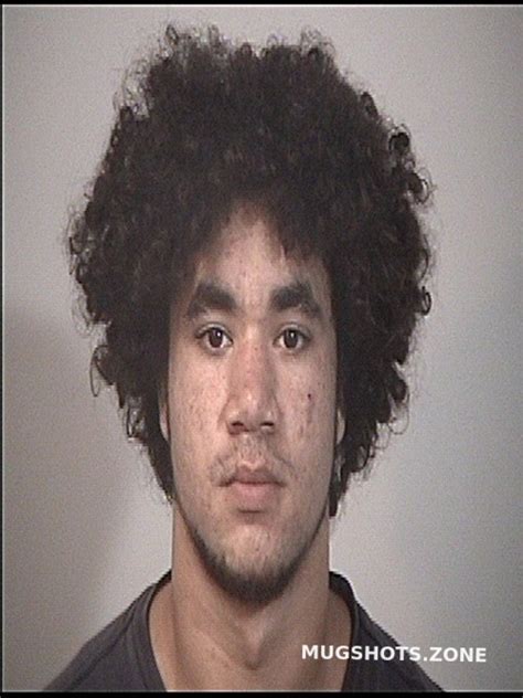 Timmons Cameron Lee 10 30 2024 Rappahannock Regional Jail Mugshots Zone