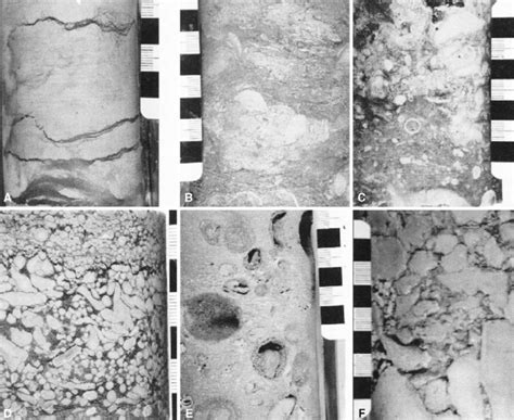 Sedimentary Features In Grosmont Carbonates A Wavy Laminated