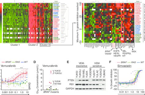 Single Agent Hts A Unsupervised Clustering Heatmap Of Effi Cacy Or