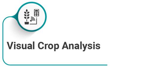 visual crop analysis edraak systems