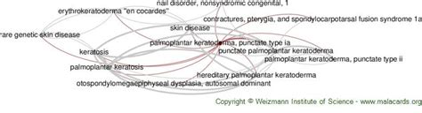 Palmoplantar Keratoderma Punctate Type Ia Disease Malacards