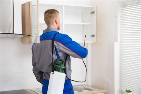 Effective Pest Control Service In Hyderabad