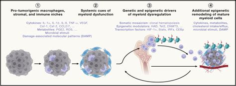 Embracing Cancer Complexity Hallmarks Of Systemic Disease Cell