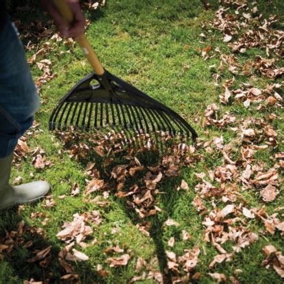 How To Get Rid Of Moss In A Lawn Steps To A Healthy Grass Ideal Home