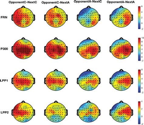 The Corresponding Scalp Topographies Of Each Conventionally Averaged Download Scientific