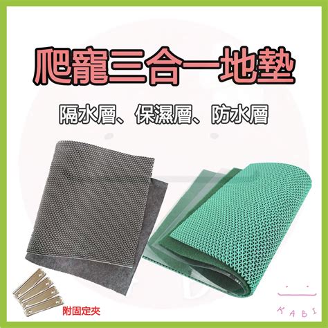 Kabi🔥爬寵三合一地墊 墊材 保濕墊 底材 爬墊 地毯 陸龜 爬蟲 蜥蜴 守宮 蝦皮購物