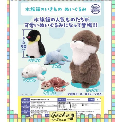 扭蛋小兵 【預購請聊聊登記】kitan 扭蛋 轉蛋 水族館生物絨毛玩偶 海龜 海豚 企鵝 水獺 海洋生物 全5款 蝦皮購物