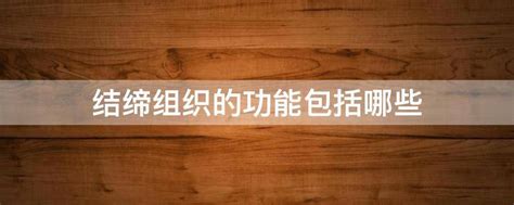 结缔组织的功能包括哪些 业百科
