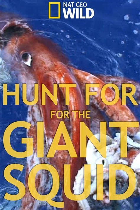 Hunt For The Giant Squid 2019 Posters — The Movie Database Tmdb