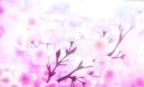 Cherry Blossom Anime Wallpaper Gif Adorable Wallpapers Anime Anime Cherry Blossom Wallpapers