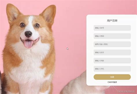 Ssm基于java的流浪猫狗救助平台kw07o【独家源码】计算机毕业设计问题的解决方案与方法流浪猫狗救助管理平台发展国内外现状 Csdn博客