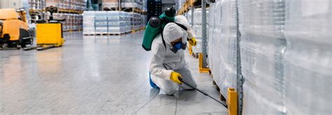 Proactive Vs Reactive Pest Control Coastal Spray