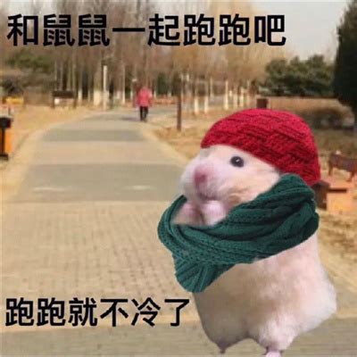 为爱痴狂的幽默表情 你冷落我的时候又在温暖谁了 表情包大全