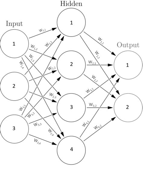 Diagram And Fuctions Of Neural Structures Drag The Labels On