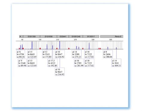 How Much Does A Paternity Test Cost Dna Paternity Test Price