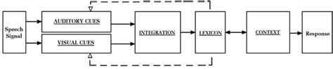a model of auditory visual speech perception adapted from grant et al