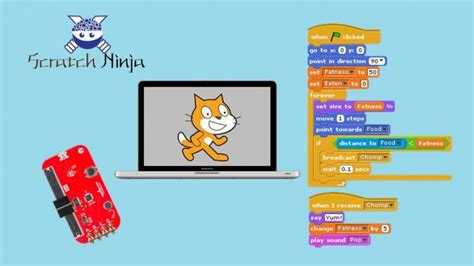Scratch Programming For Raspberry Pi Udemy Coupon 100 Off