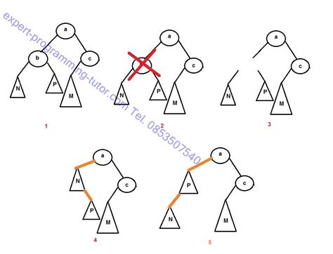 ไบนารีเสิร์ชทรี Binary Search Tree 2 Ept Expert Programming Tutor