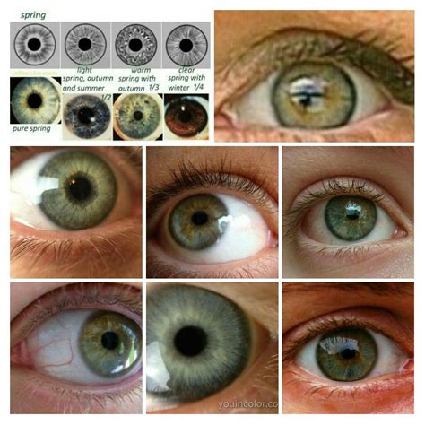 Eye Types Of Spring Seasonal Analysis Весна Глаза Цветы