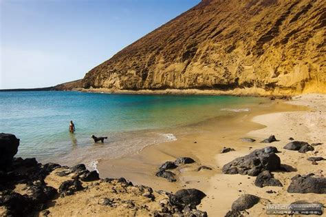 29 Best Bestbarebeaches Canary Islands Images On Pinterest Canarian