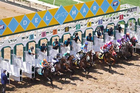 Del Mar Consensus Picks For Sunday Nov 16 2025 Orange County Register