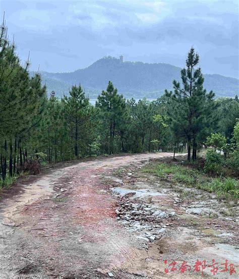 南昌新建区石埠镇红林村岭上山庄路难行 村民盼通水泥路凤凰网江西凤凰网