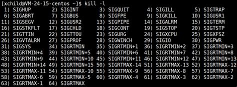 linux操作系统 进程状态 csdn博客