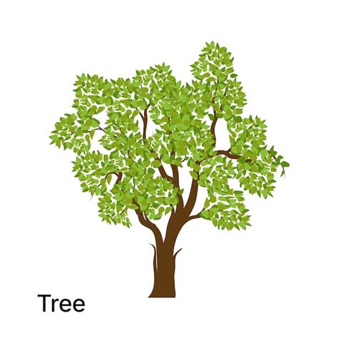 Premium Vector A Tree With The Word Tree On It