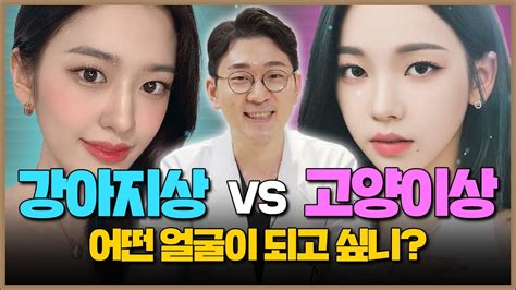여자 아이돌로 알아보는 강아지상vs고양이상ㅣ원하는 아이돌 얼굴처럼 될 수 있을까 Youtube