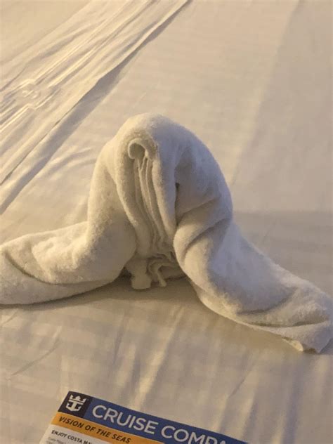 Enter The Walrus Easy Cleanup Rambien