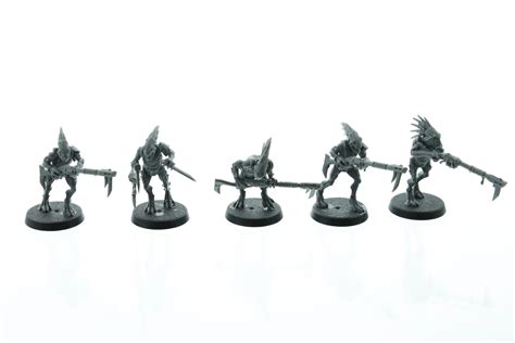 Kroot Warhammer