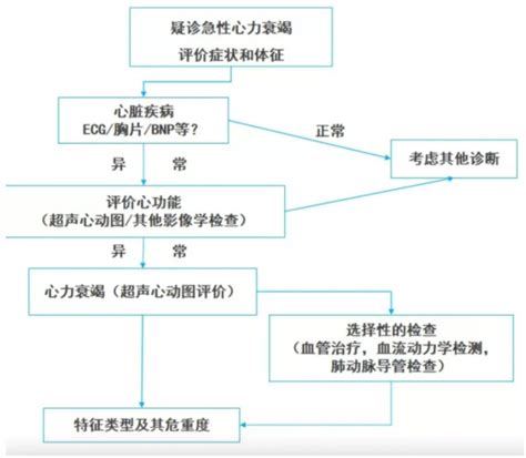 壹生资讯 收缩性心力衰竭的发病机制以及临床表现，这篇帮你搞定！