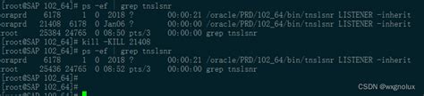 Oracle 重复启动监听程序故障