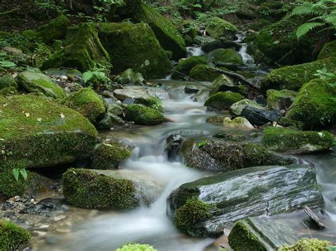Understanding Kafka Topic Partitions By Dunith Danushka Tributary