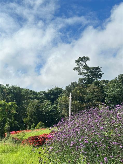 ที่พักภูลมโล ที่ไร่ลมหนาว บ้านร่องกล้า คุณ มาร์ค ได้กล่าวใว้ Facebook