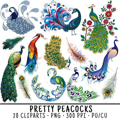 Clipart Peacock 19 Free Cliparts Download Images On Clipground 2025