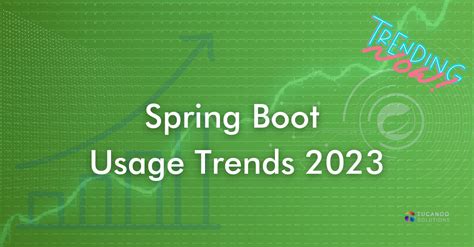 Spring Boot Usage Trends Insights From Our Community Poll Tucanoo Solutions Ltd
