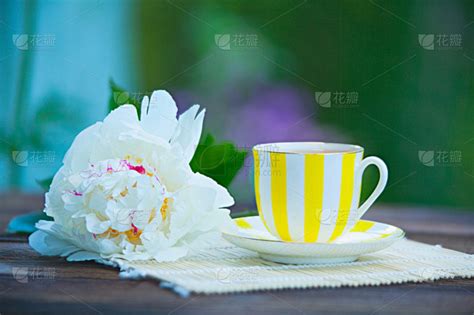 杯绿茶桌子芳香的水平画幅无人热饮夏天饮料草