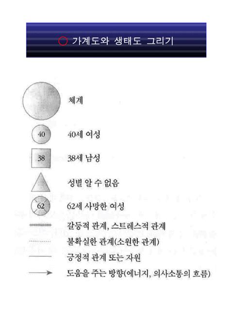 가계도와 생태도 그리기 사회과학