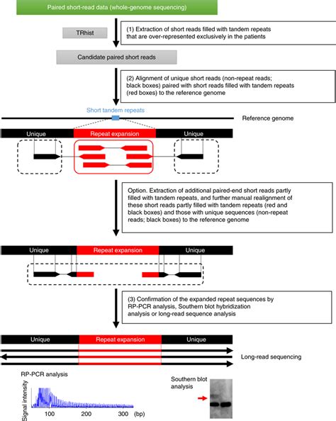 Direct Identification Of Repeat Expansion Mutations By Analysis Of