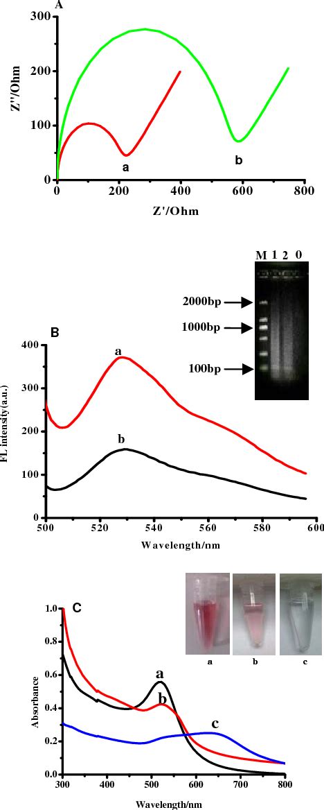 Figure 1 From Ultrasensitive Colorimetric Carcinoembryonic Antigen